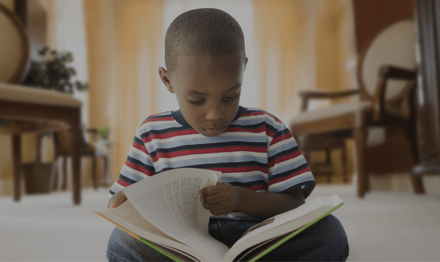 The Issue | Early Literacy in Arizona